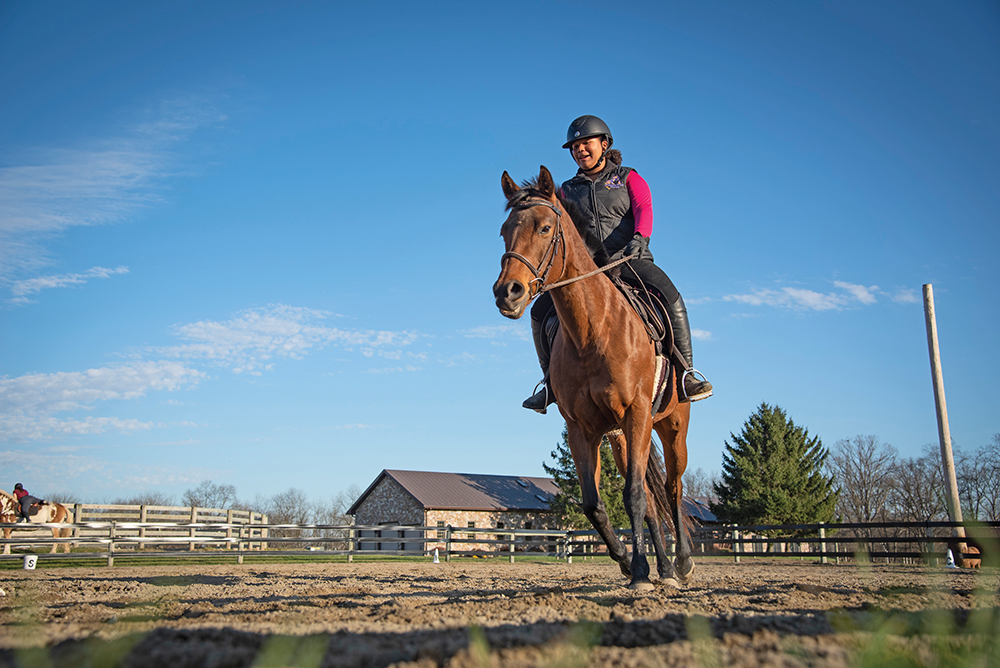 Racehorse Rescue and Rehabilitation – Wilson College Magazine