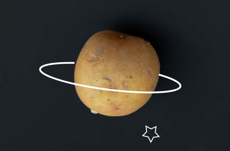 campus crops – Wilson College Magazine
